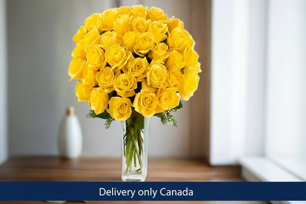 Send Yellow roses to Canada online | flowers delivery in Canada ...